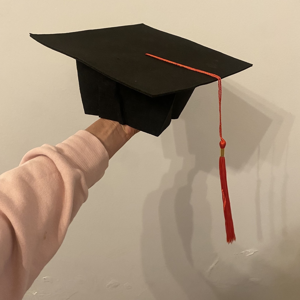 Birrete egresado Graduacion - Comprar en Girls Up
