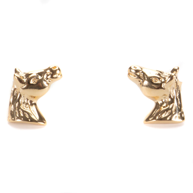 Brinco Feminino Country Star