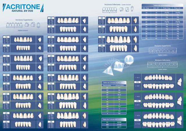 Dientes Y Muelas De Acrilico Acritone 1 Unidad A Eleccion