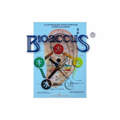 Resumão Acupuntura - Comprar em Bioaccus