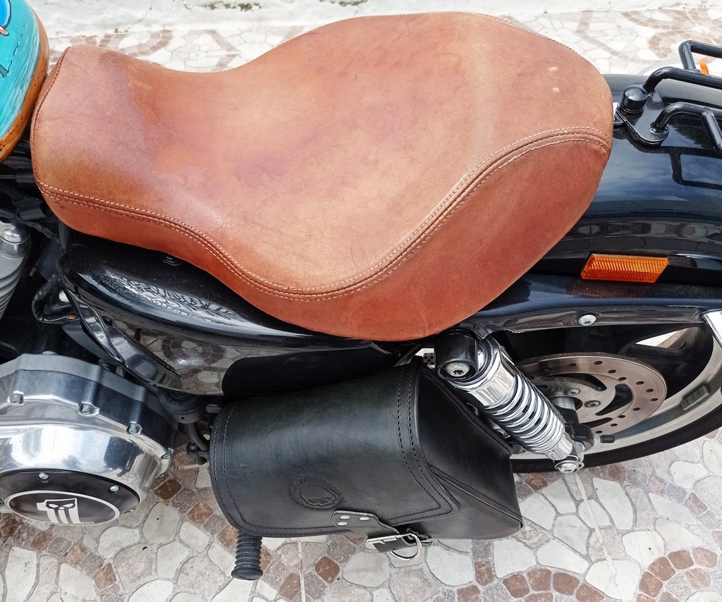 Alforja Solitaria Harley Davidson Sportster