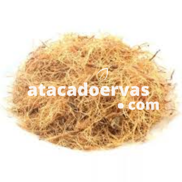 Unha de Gato Rasurado 50g - Comprar em Atacado Ervas