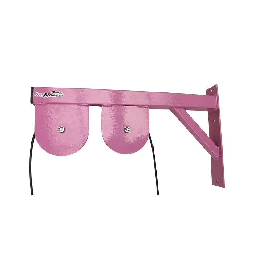 Polea doble con soporte y porta disco - BioFitness