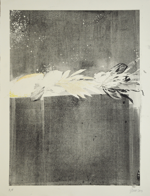 José Bechara - Comprar em LOJA IBERÊ