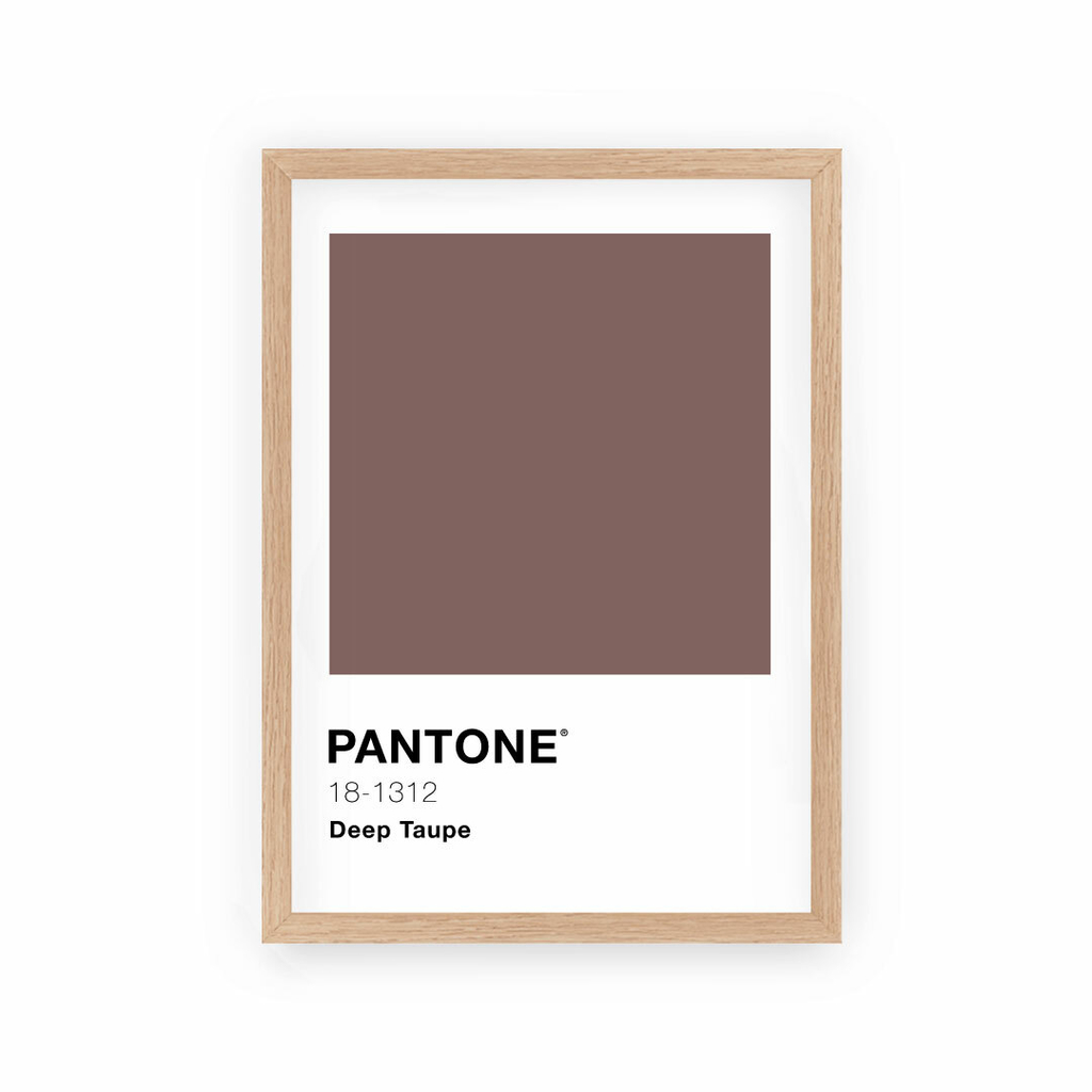 Cuadro Pantone Deep Taupe - Comprar en Puerta de Goya