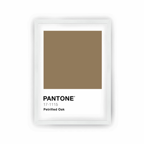 Cuadro Pantone Petrified Oak - Puerta de Goya