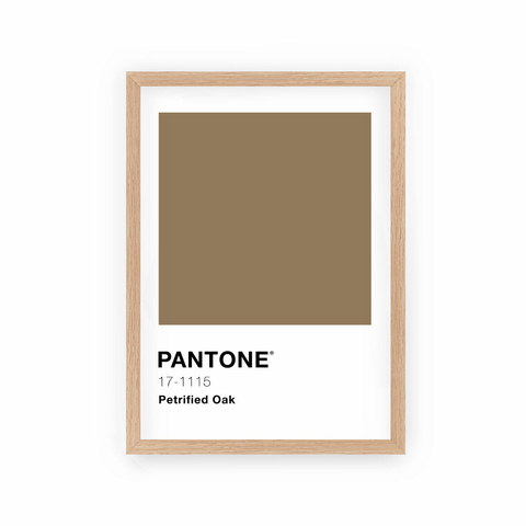 Cuadro Pantone Petrified Oak - Puerta de Goya