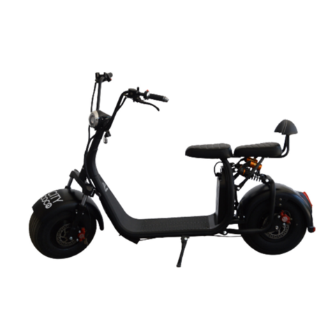 MOTO ELÉCTRICA ELPRA CITYCOCO CHOPER