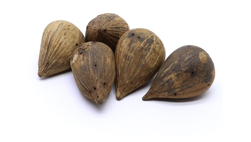 Fava Ifá - Comprar em Palácio das Velas