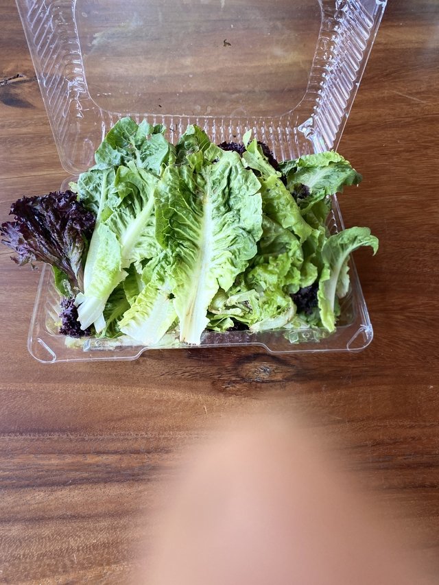 ENSALADA EUROPEA domo - EPICURE by Abasto Fresh