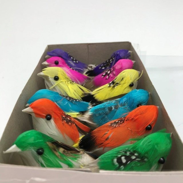 Sy0001M B003 B004 Sy0003 80101 (DZ) PASSARO