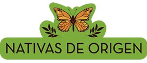 salvia rastrera planta nativa