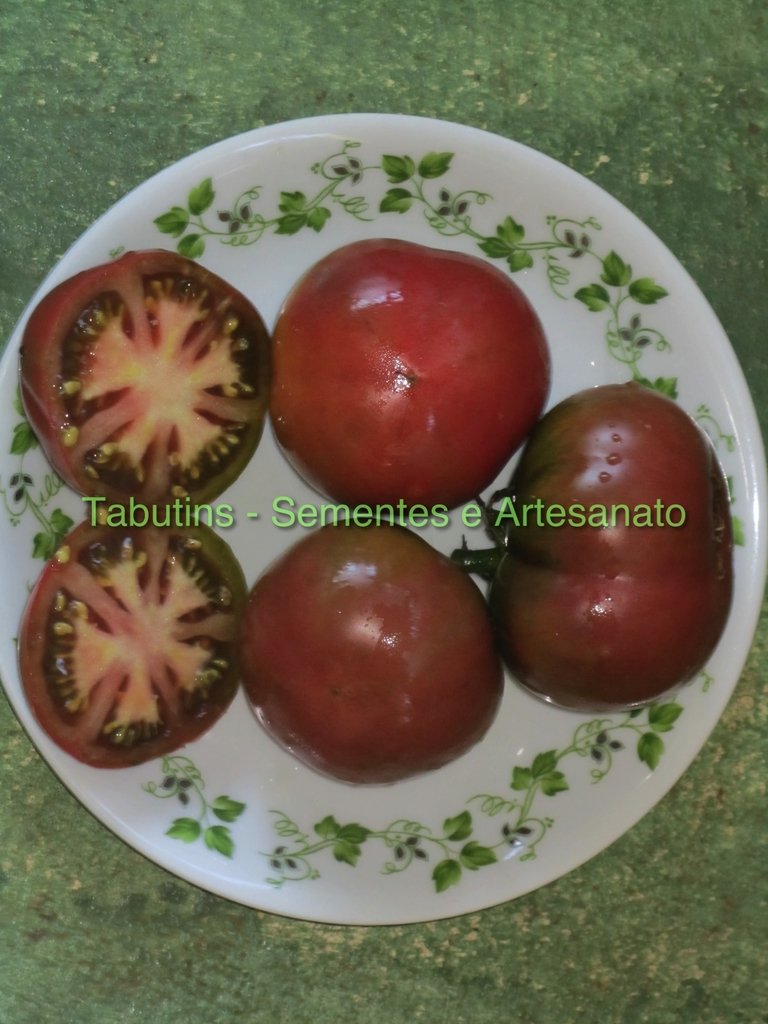 TOMATE CHEROKEE PURPLE