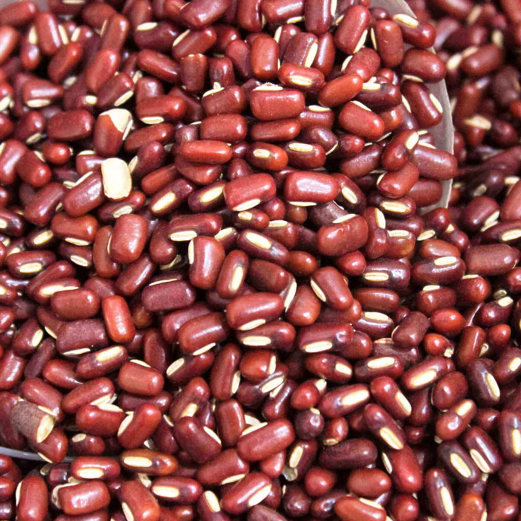 Feijão Azuki - Empório Santa Rita
