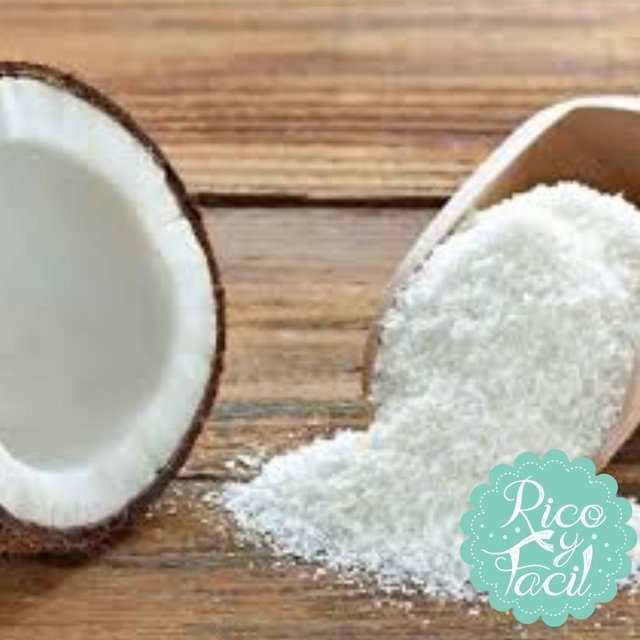 Coco rallado - Comprar en Rico y fácil