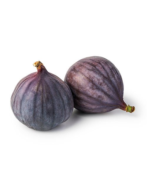 Figo (bandeja) - Comprar em Agrobonfim