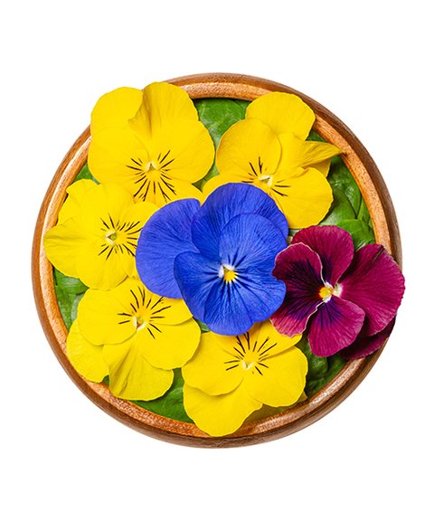 Flor Comestível (bandeja) - Comprar em Agrobonfim