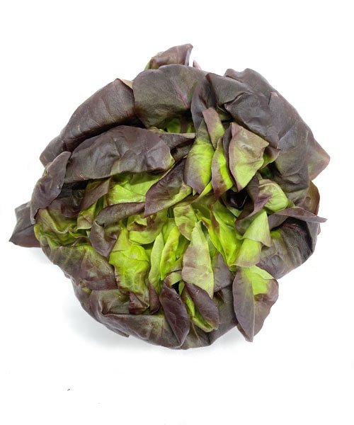 Alface Lisa Roxa Mini (bandeja) - Comprar em Agrobonfim