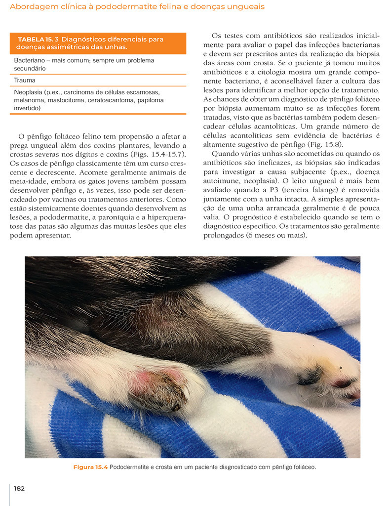 DERMATOLOGIA FELINA UMA ABORDAGEM CLÍNICA
