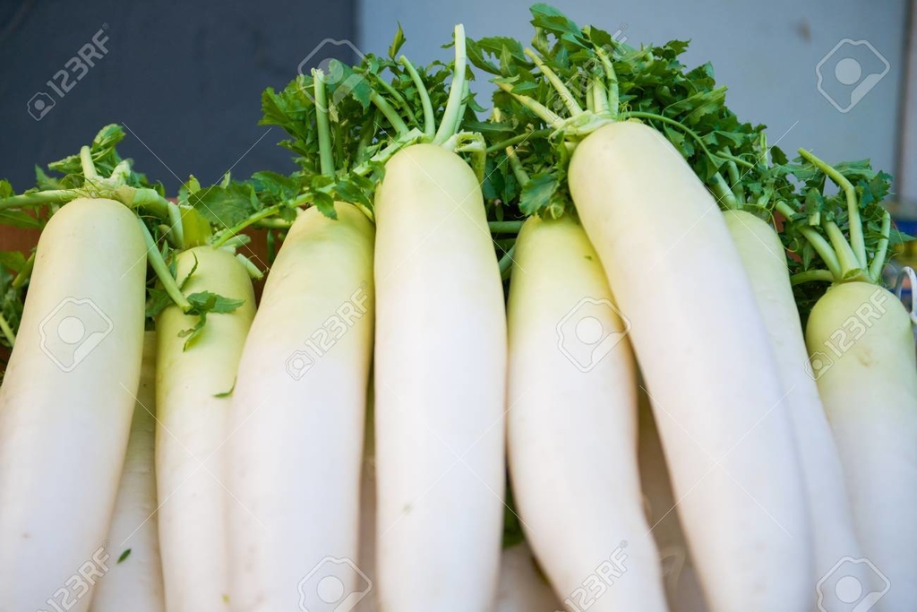 Rabano blanco japones ( 30 semillas )