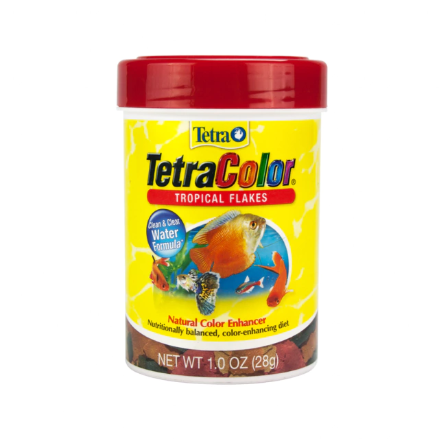 Tetra colors