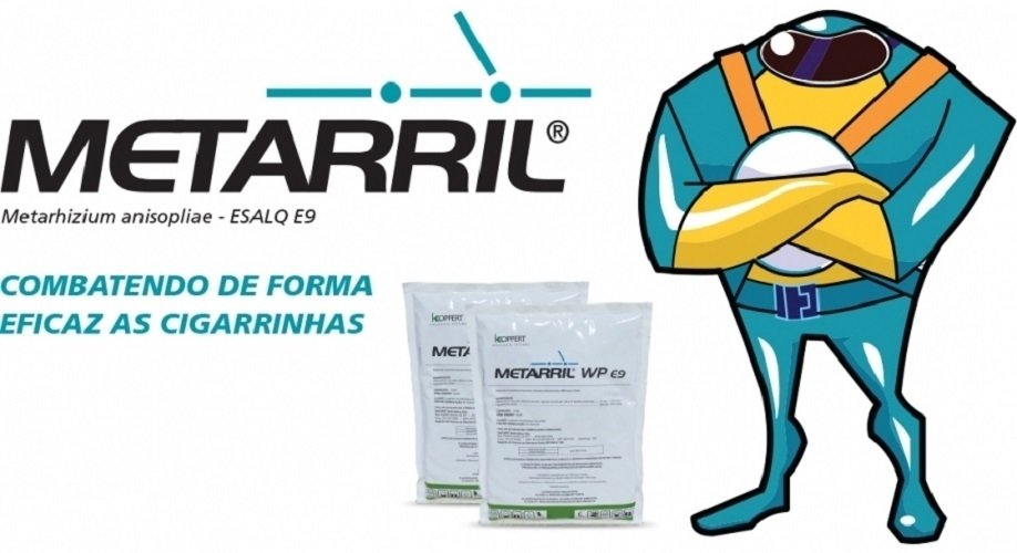 Metarhizum Anizopliae WP 1kg - DOUTORAGRONOMO