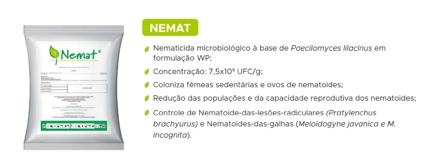 Paecilomyces lilacinus - NEMAT 200 gramas