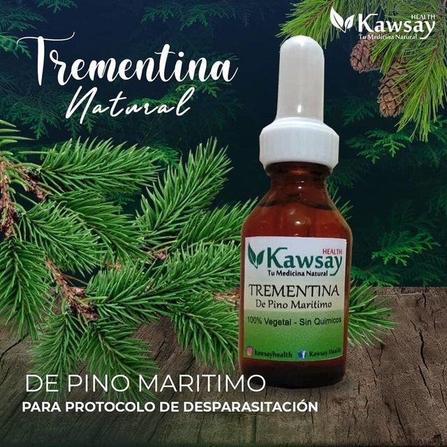 Trementina Natural Vegetal - Comprar en Kawsay Health