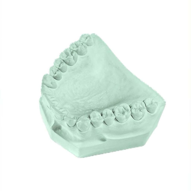Modelo de yeso dentado / desdentado / parciamente dentado