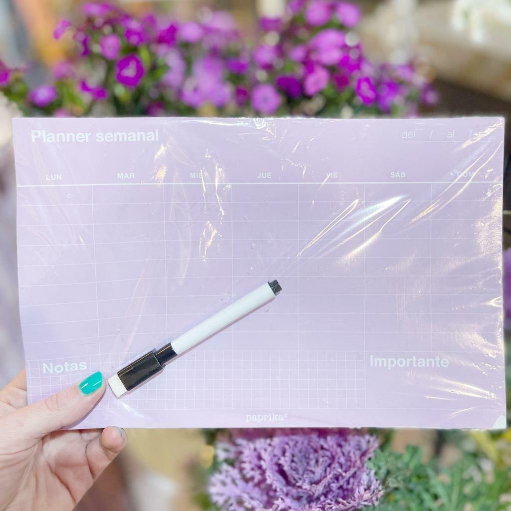 PLANNER SEMANAL IMANTADO 18X28 LILA - Livings