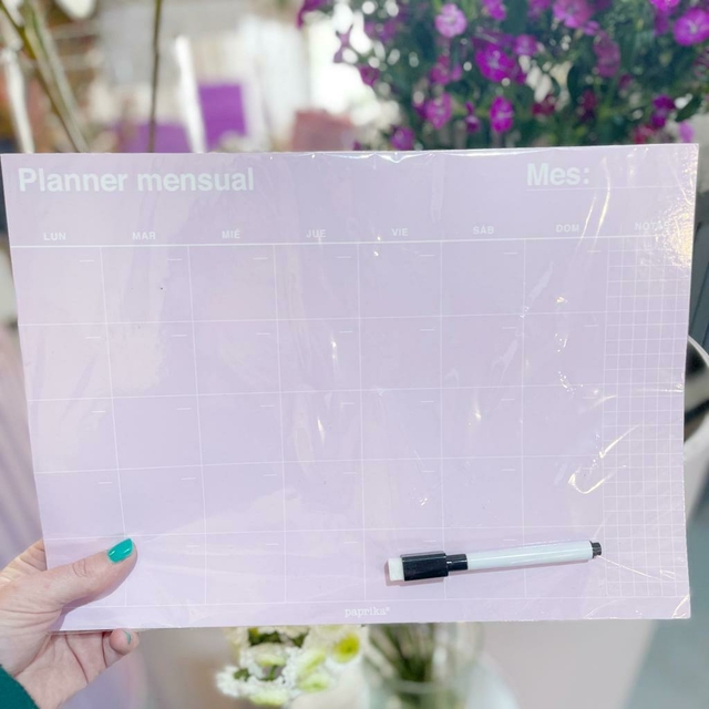 PLANNER MENSUAL IMANTADO 25X35 LILA - Livings