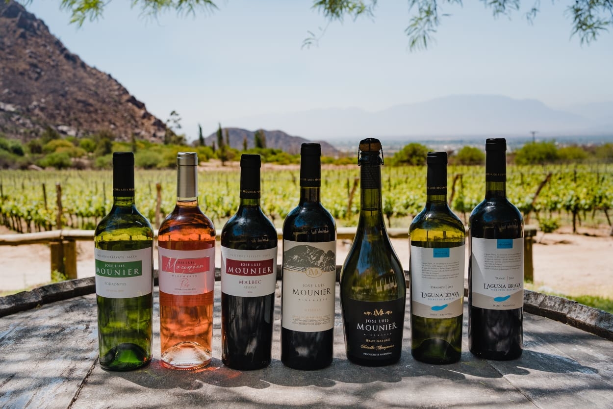 Cafayate Wines