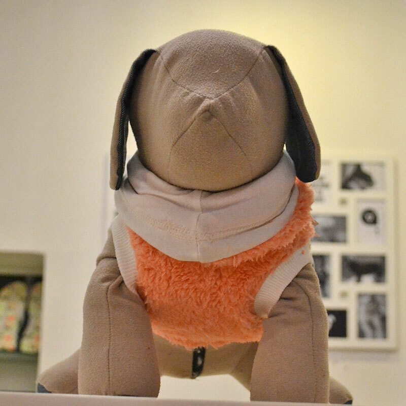 Buzo Para Perro Modelo Smoothie - Comprar en Zoona pet