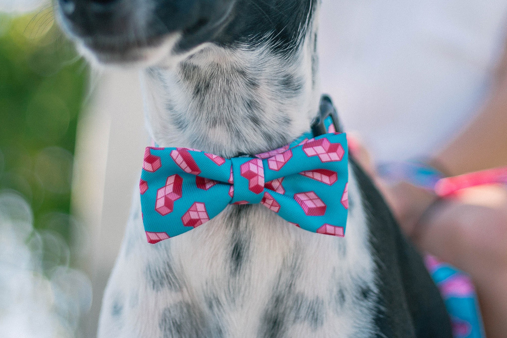 Moño para Perro Tetris Zee Dog - Comprar en Pet Point