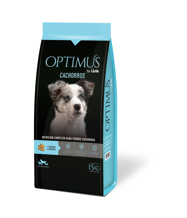 Comprar Perro Adulto en Pet Point