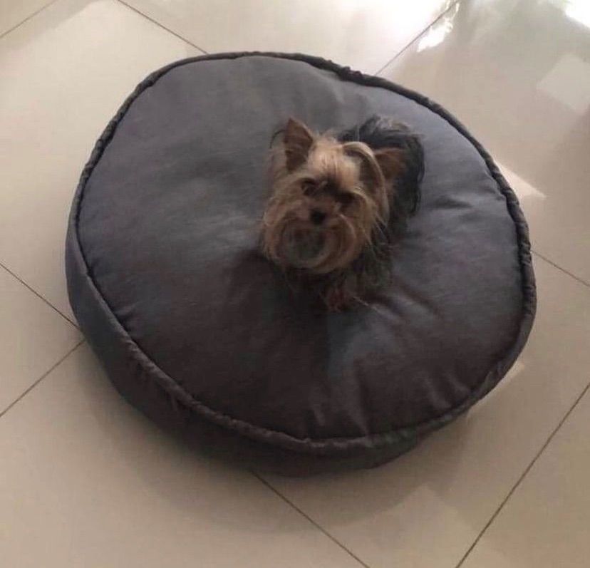 Cama para perro puff circular