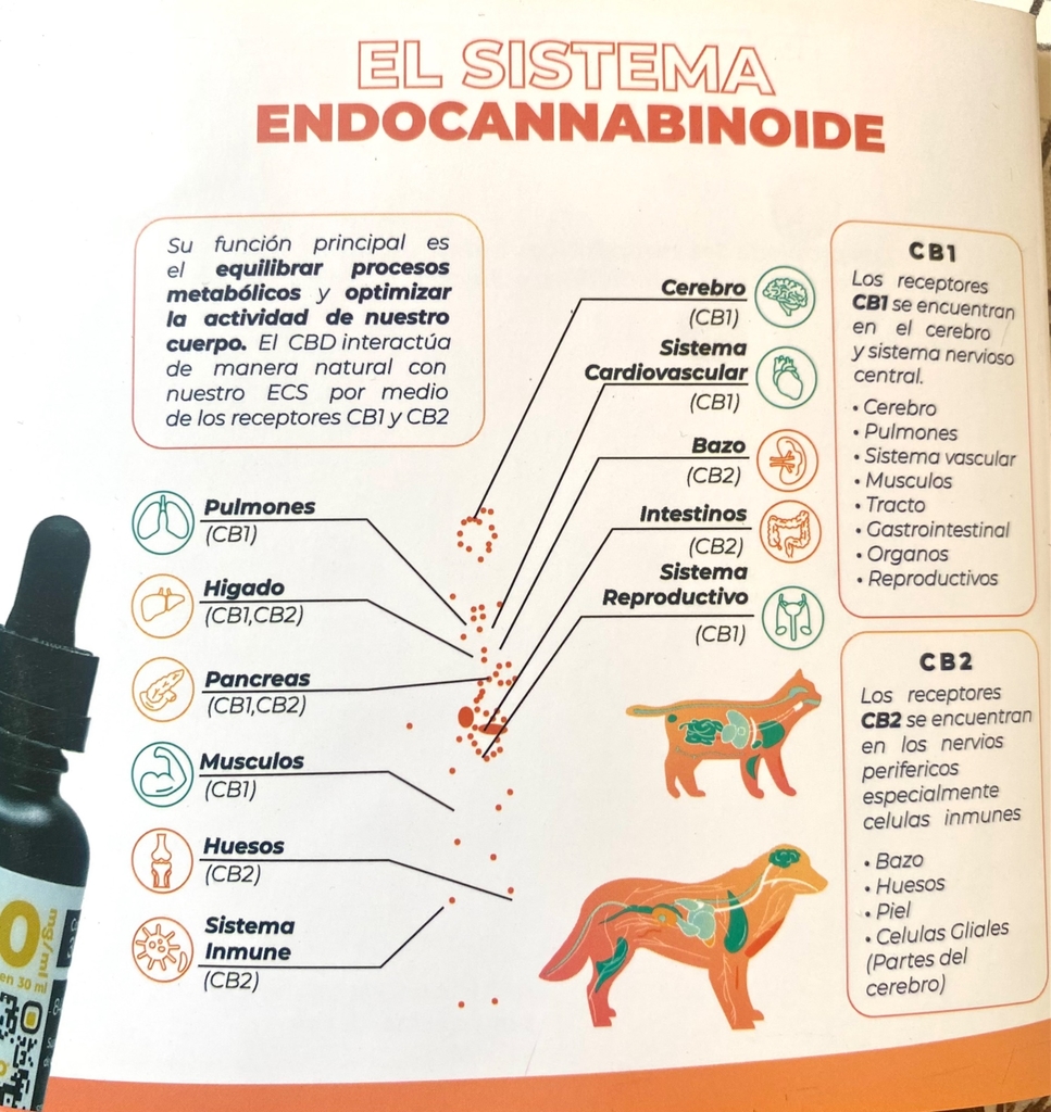 CBD 8.3 mg/ml - Perro Chico y mediano - Buy in DoGift