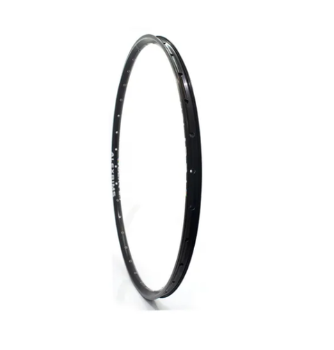 Llanta Alex Rims DH19 Rod 29" 32h
