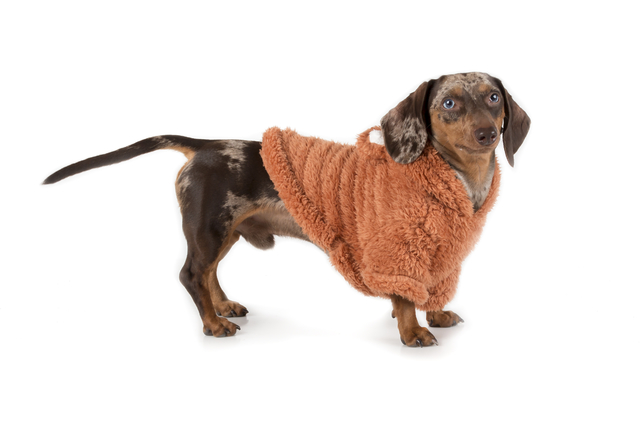 Comprar Buzos con Capucha en miamore