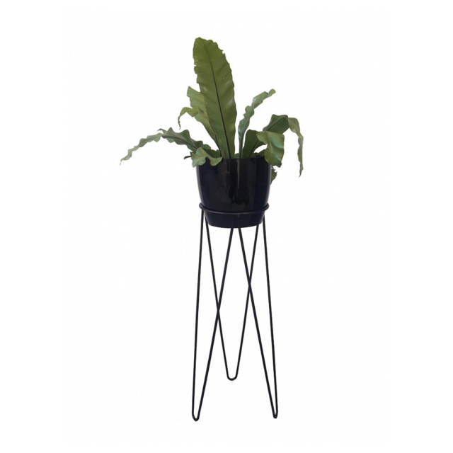 Portamaceta 60cm - Comprar en Dorotea Design