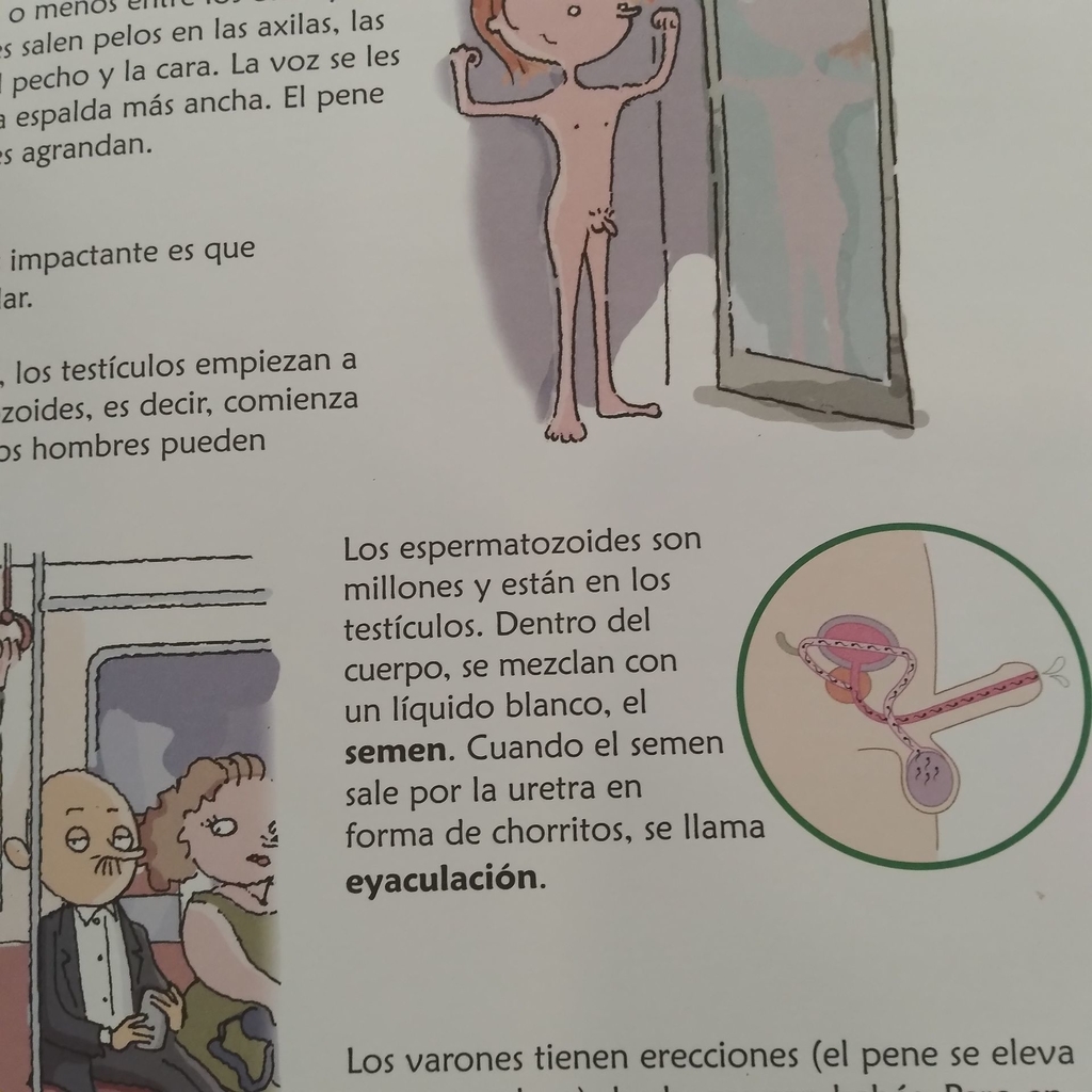 Que Es Esto La Sexualidad Explicada Para Niñas Y Niños