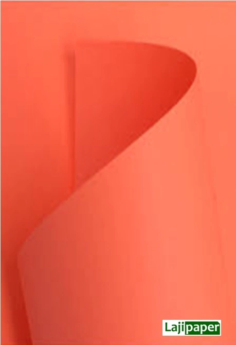 PAPEL COLOR PLUS LISO 180g - A4 - COSTA RICA - PACOTE 20 FOLHAS