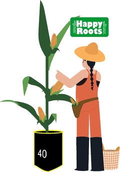 Tienda Online de Happy Roots