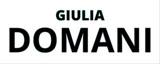 Loja online de Domani