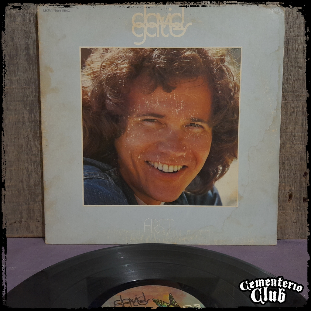 DAVID GATES - First - Ed USA 1973 Vinilo / LP