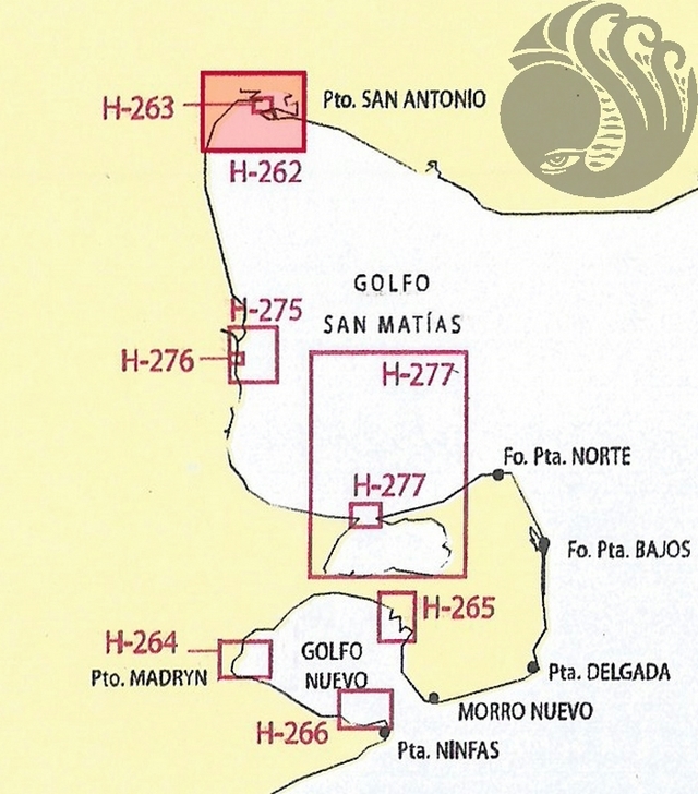 H-262 / Puerto San Antonio - Ediciones El Pulpo Negro