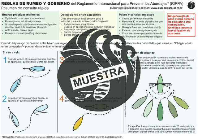 REGLAS DE RUMBO Y GOBIERNO (RIPPA)