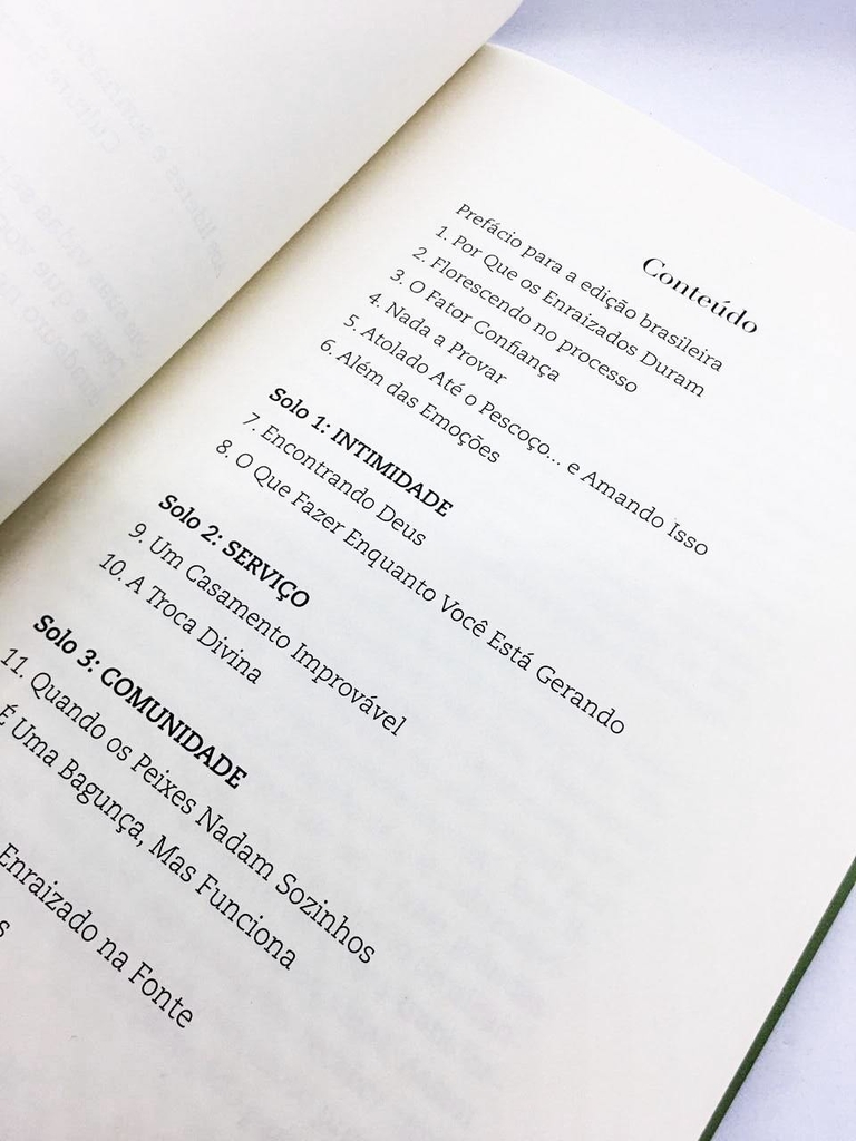 Livro Enraizado - Banning Liebscher - Tenda Gospel Livraria Cristã