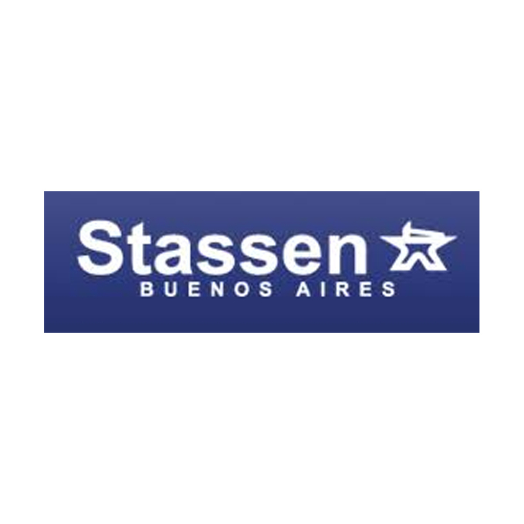 Espatula Para Oleo Stassen 510 Grande N 71