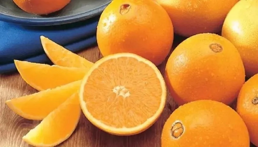 Naranja Washington Navel - De ombligo